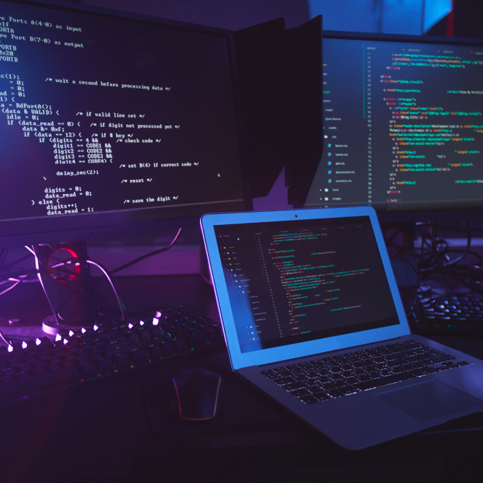 Professional web designer in dubai - web developer uae - shafil ahmed